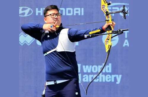 Avid Archer - Find the true archer in you!