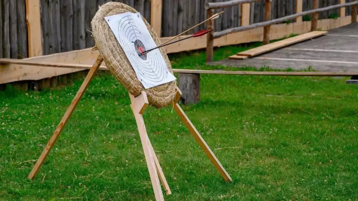 Top Picks for Bag, Foam and Block Archery Targets